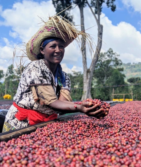 Our Offerings - InterAmerican Coffee