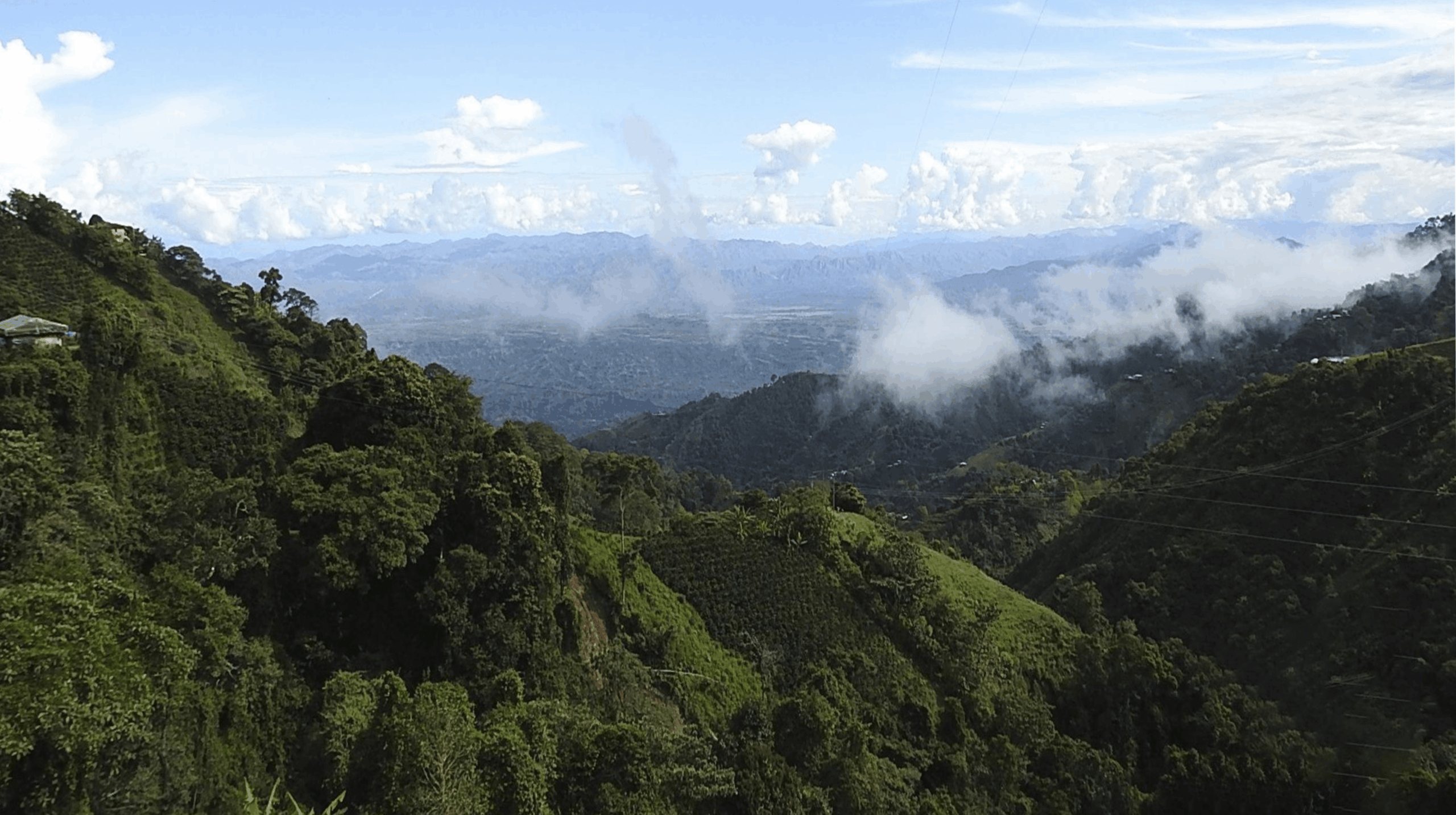 InterAmerican Coffee - Colombia Multicoop Fairtrade Organic