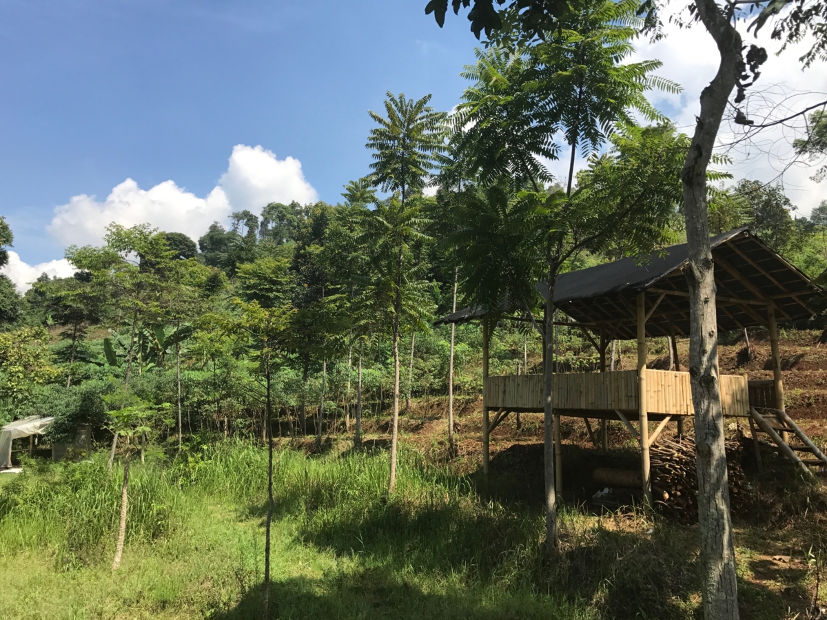 InterAmerican Coffee U.S. - Specialty Green Coffee Importer